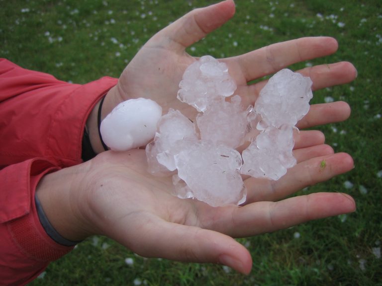 Pieces of Hail - Photos from Chris Hardie
