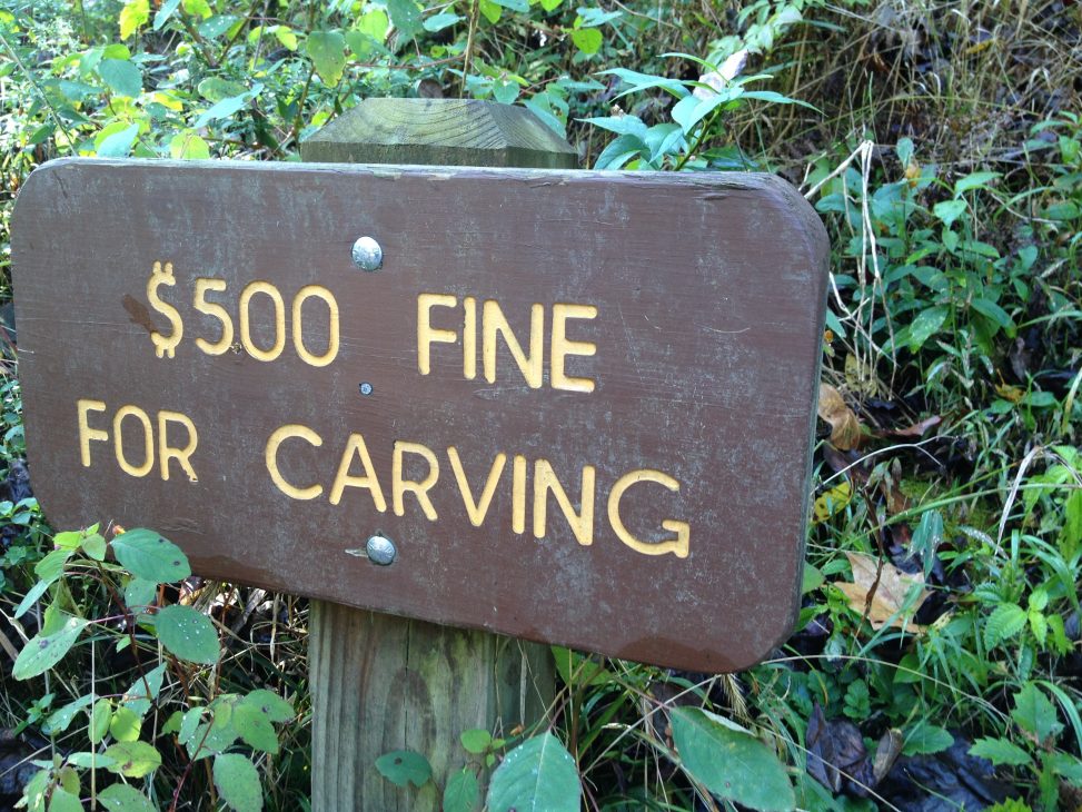 $500 Fine - Photos from Chris Hardie