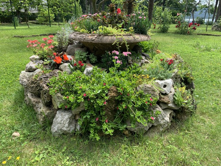 Monastery flowers - Photos from Chris Hardie