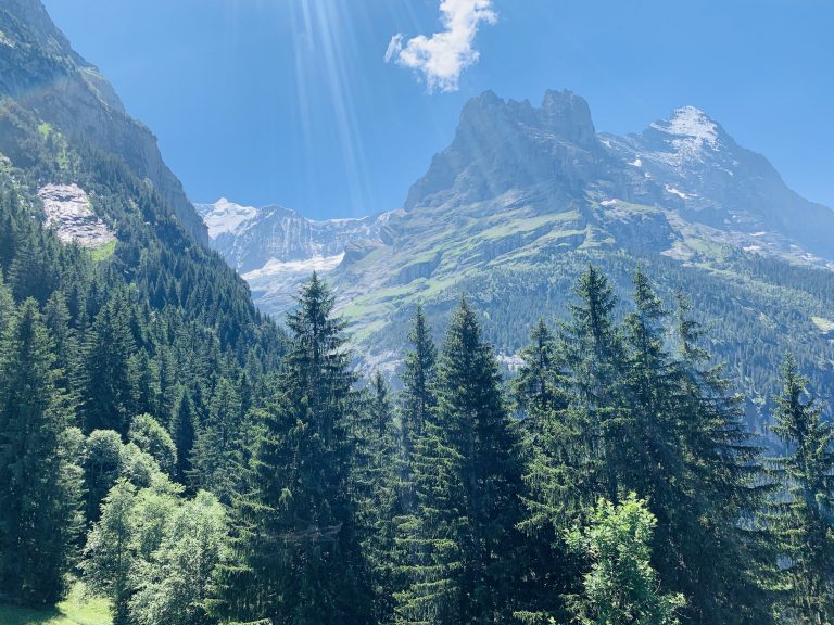 Grindelwald glacier view - Photos from Chris Hardie