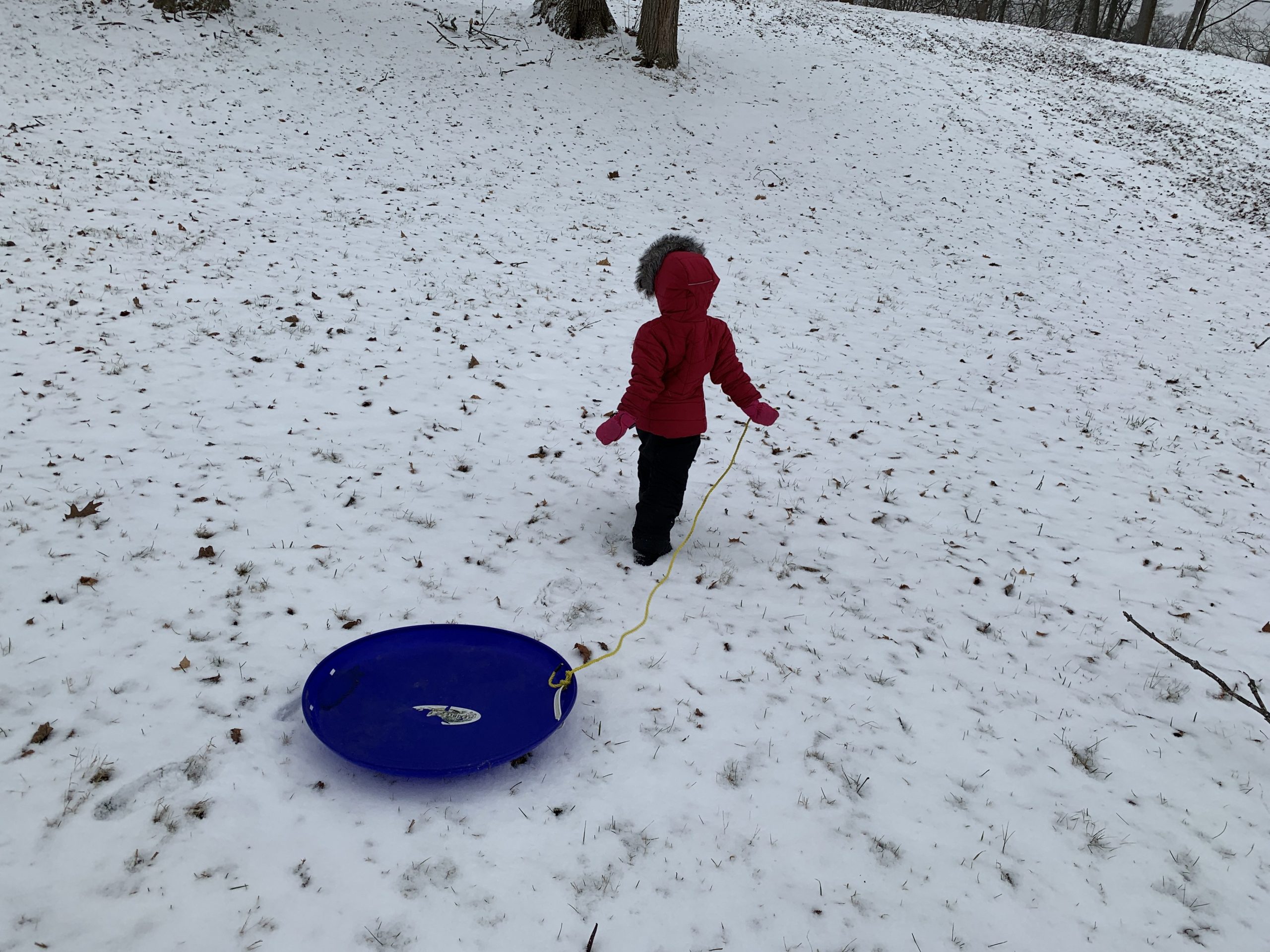Ready to sled - Photos from Chris Hardie