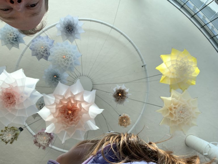 Beauty above - Photos from Chris Hardie