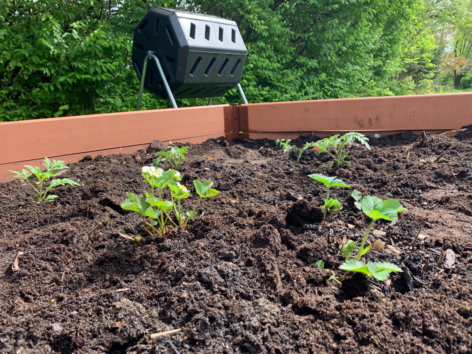 Planted garden - Photos from Chris Hardie